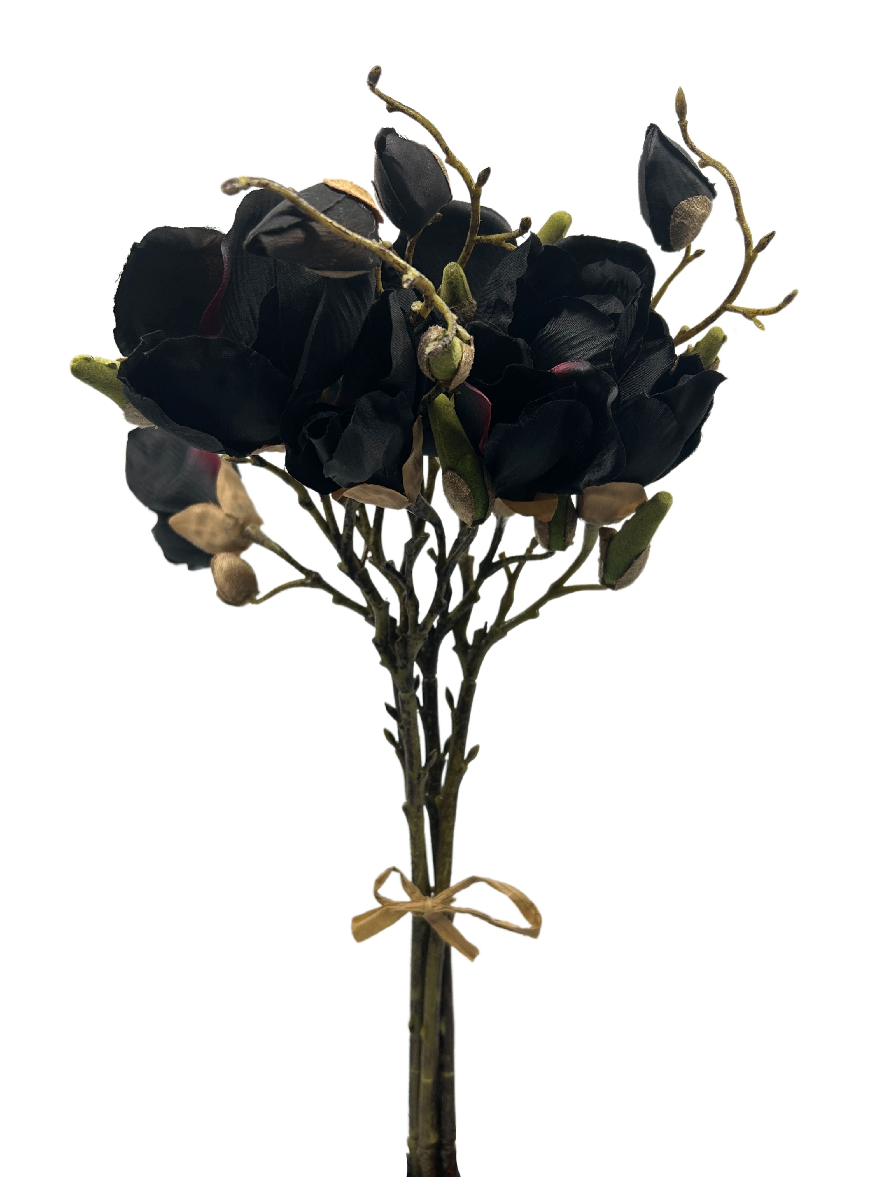 Black Baccara Rose