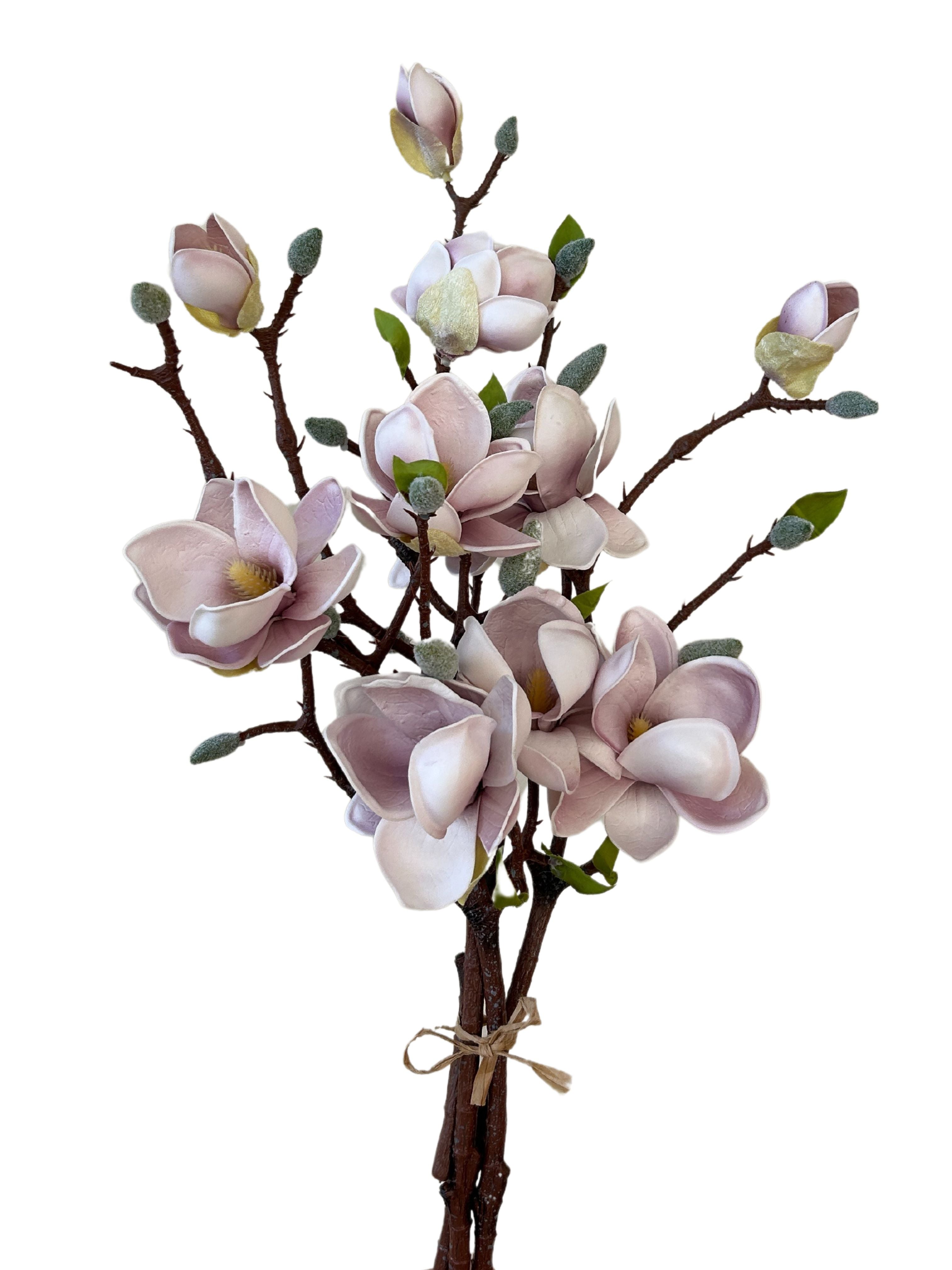 Short Pink Magnolias